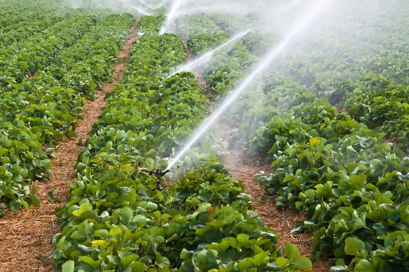 Zero carbon irrigation contract win marks entry into Agritech sector ...